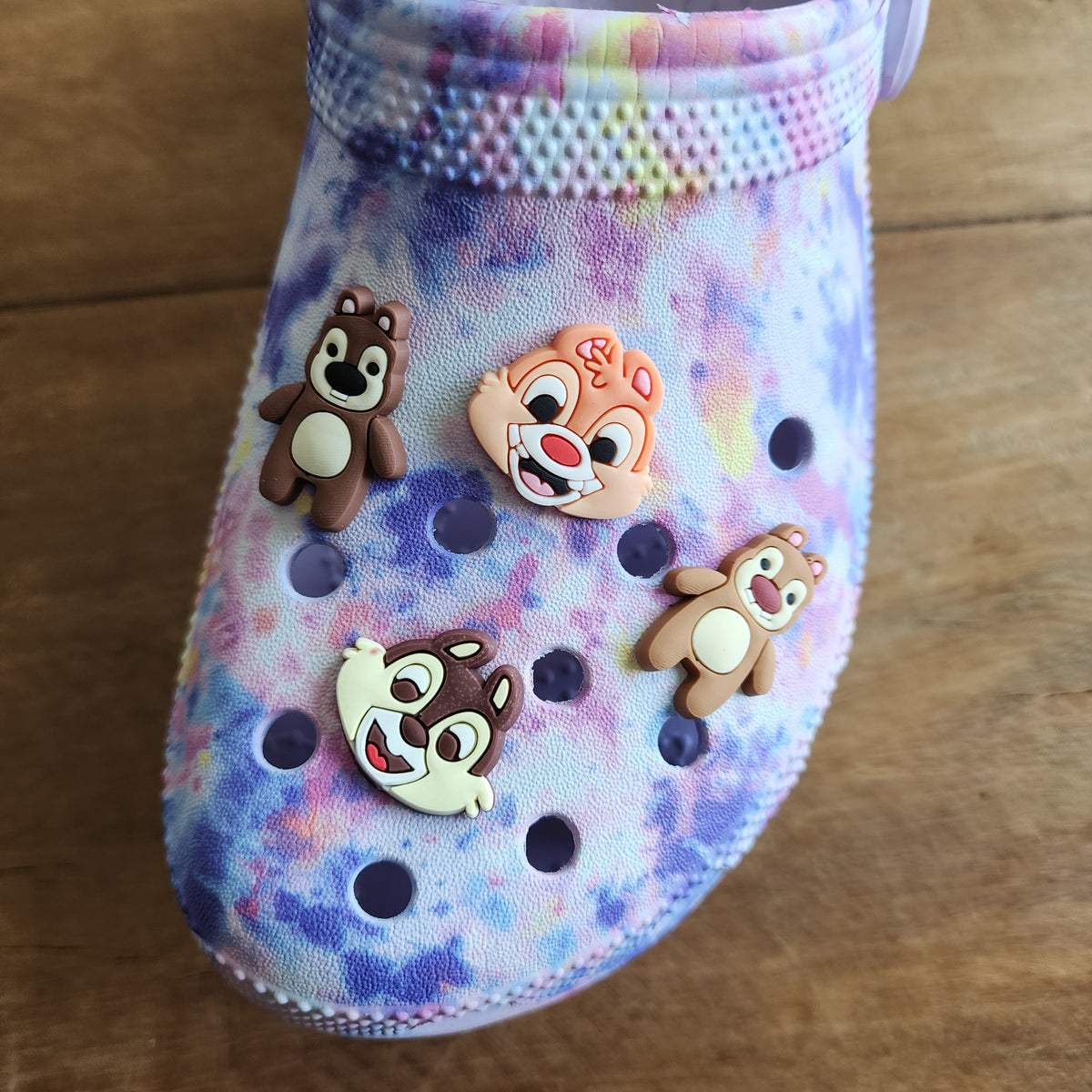 4pc Chipmunk Shoe Charms – kolorwondercrafts