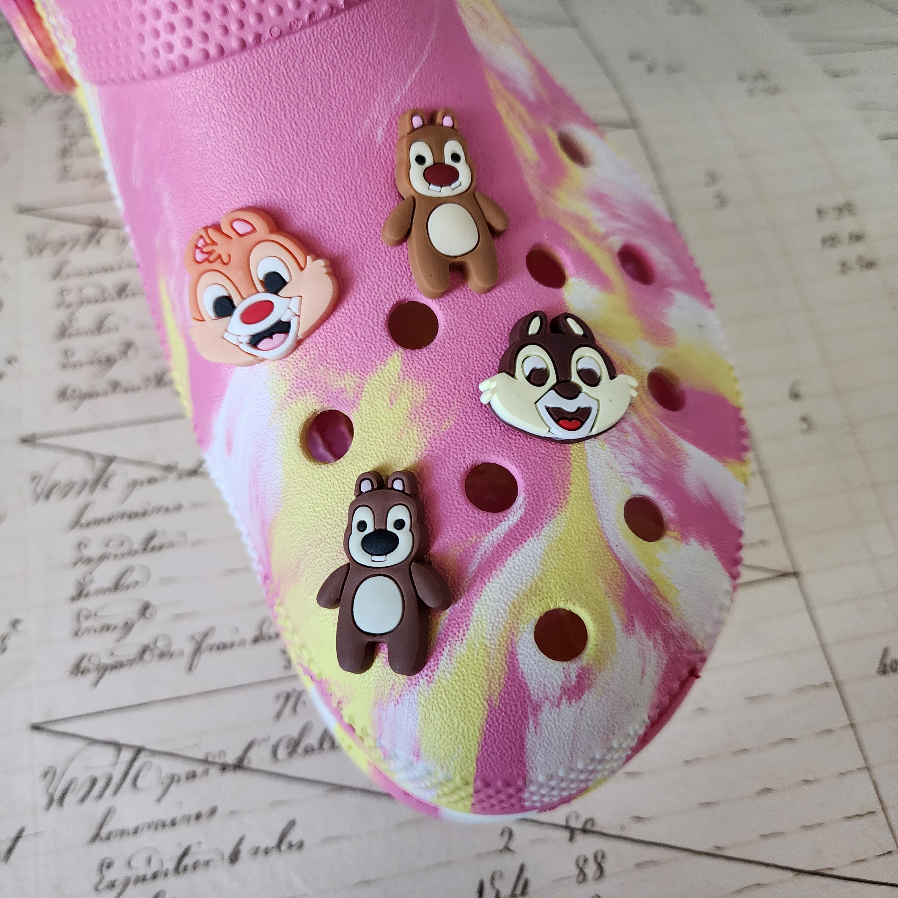 4pc Chipmunk Shoe Charms – kolorwondercrafts